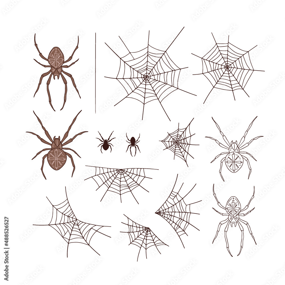 Spider with cross cobweb vector illustration set isolated on white ...