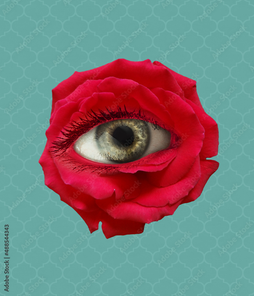Red rose flower with an eye inside it on blue background. Modern design ...
