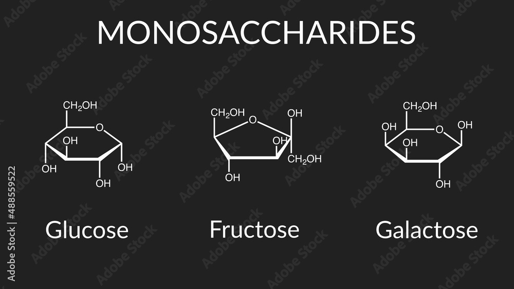 Vector illustration of monosaccharides: glucose, fructose, and ...