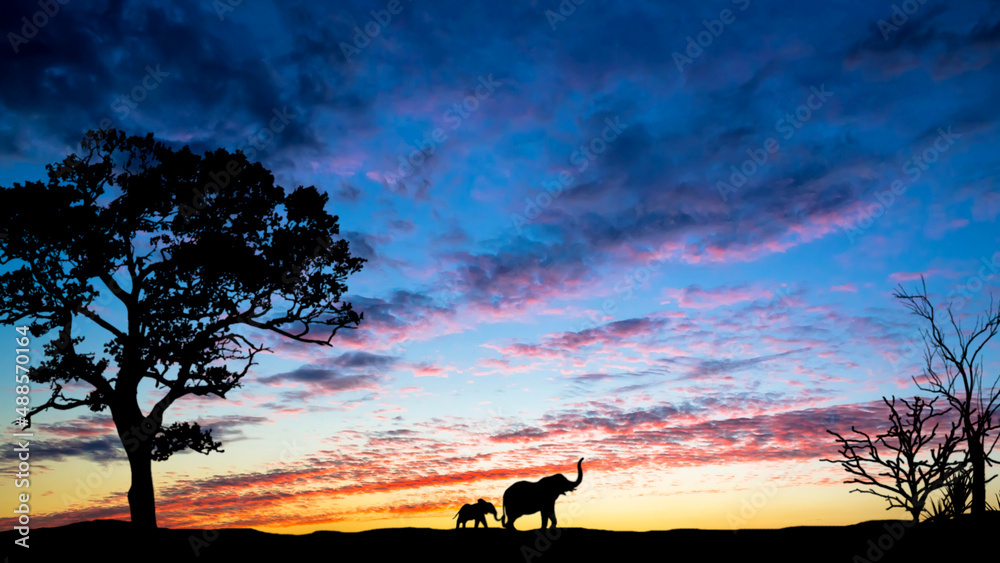 Desert landscape with a beautiful sunset and the silhouette of an ...