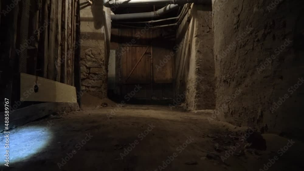 A locked door in a dark basement. Got lost in an old dungeon. Hiding in ...