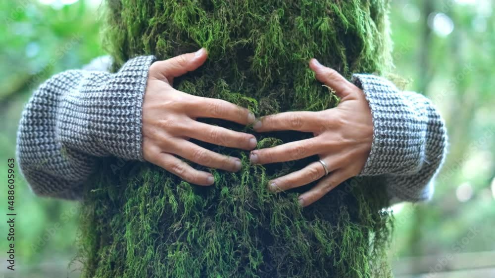 Nature lover hugging trunk tree with green musk in tropical woods ...