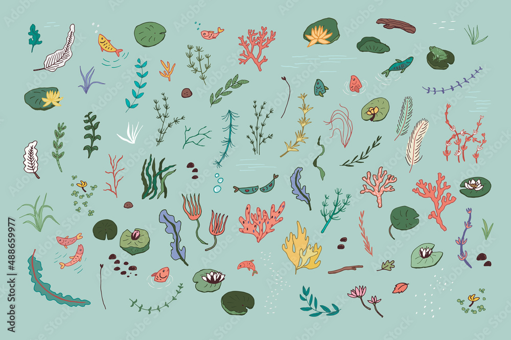 Water plants vector illustrations set Stock Vector | Adobe Stock