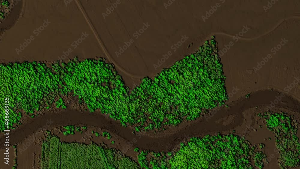 Animation of digital elevation model of a forest area with a river. GIS ...