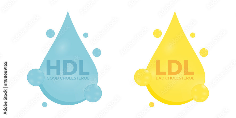 Vector set of good HDL and bad LDL cholesterol. High-density and low ...