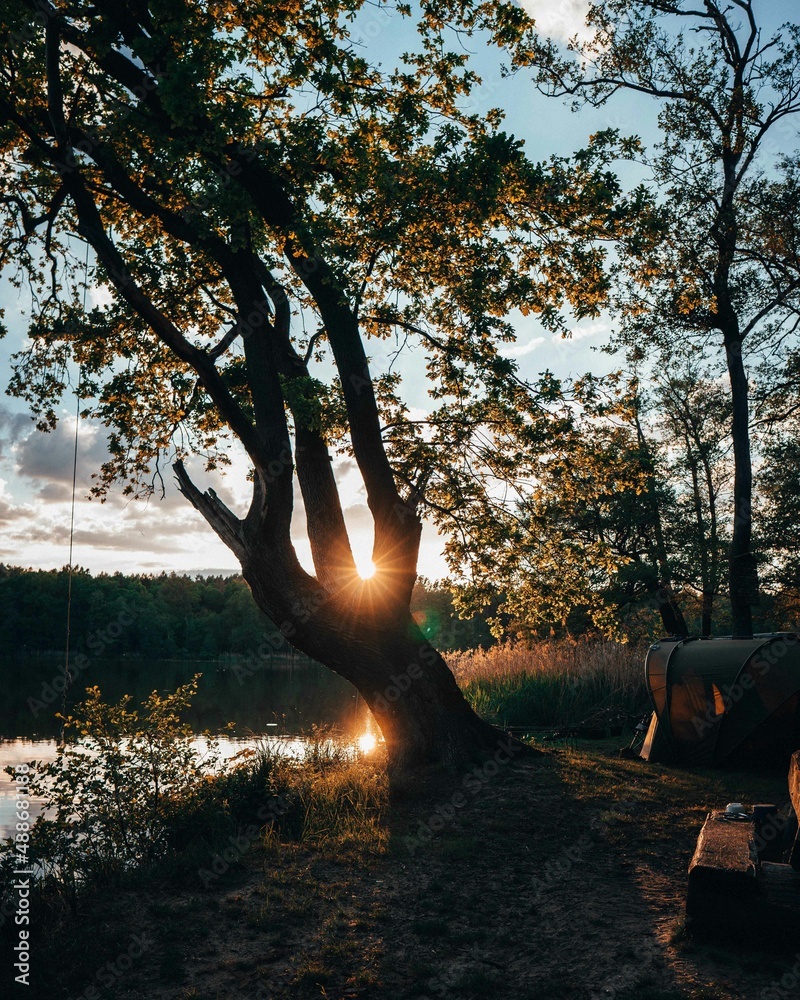 Nature Stock Photo | Adobe Stock