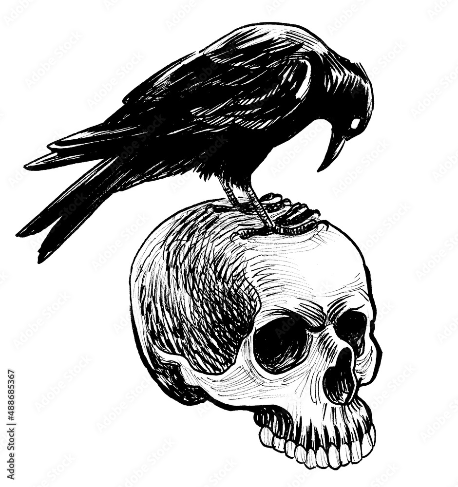 Ink Bird Skull Drawings Amazon.com: SKULL & CROW CANVAS PRINT Gothic