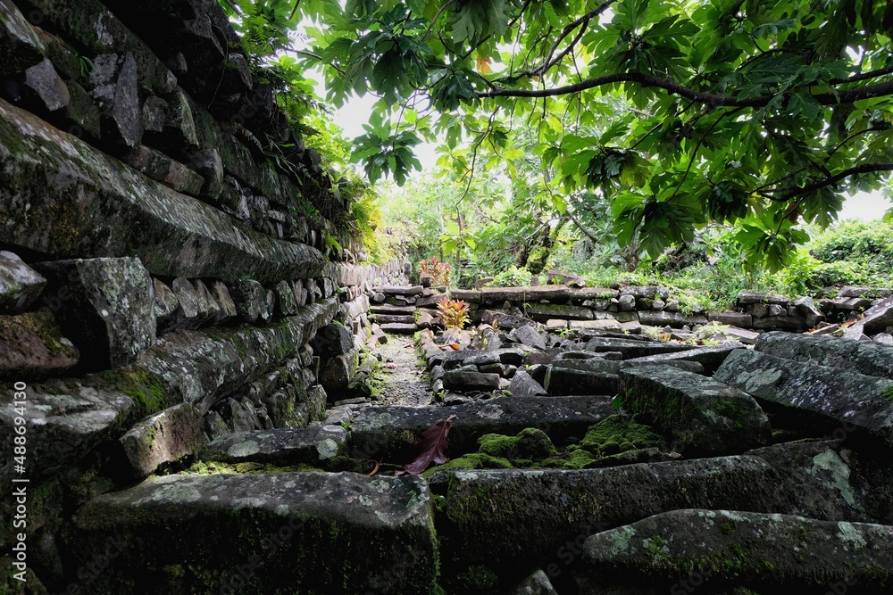 The outer walls and forest of hidden archaeological site Nan Madol ...