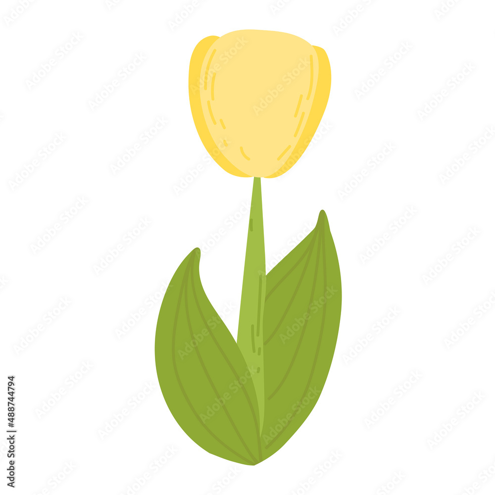 Cartoon cute tulip with green stalk vector illustration. spring flowers ...