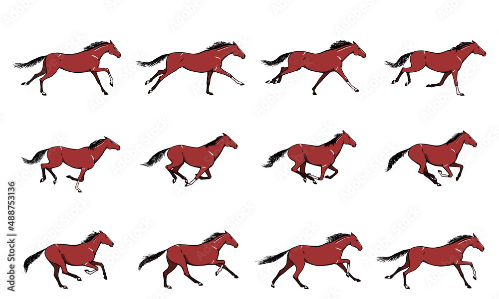 Galloping horse or mustang. Bay color coat pony running silhouette ...