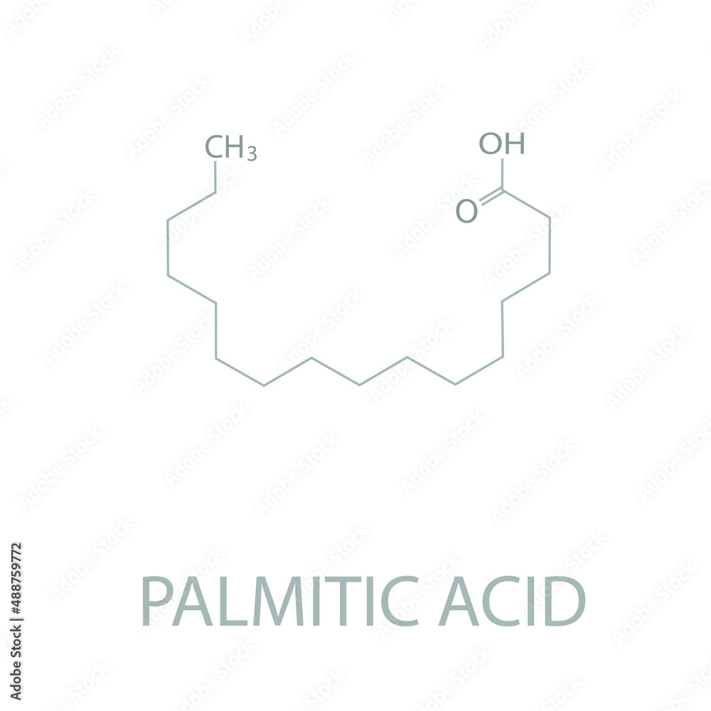 Palmitic acid molecular skeletal chemical formula. Stock Vector | Adobe ...
