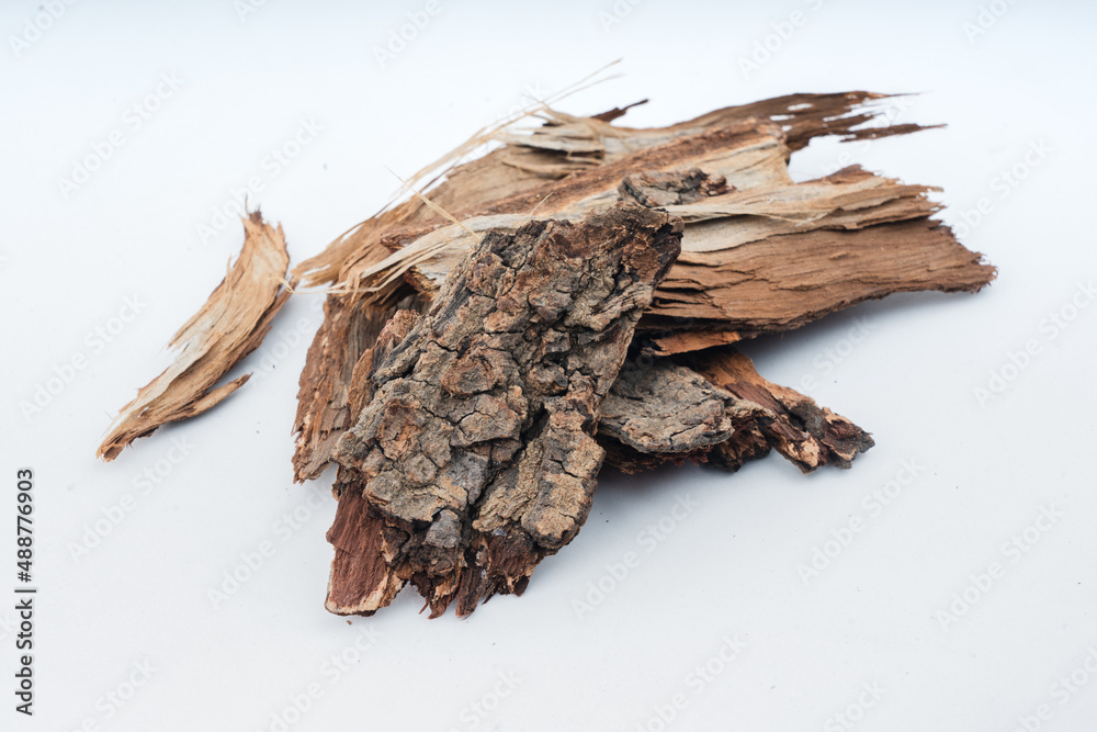 Arjun Chhal, Terminalia Arjuna Bark closeup over isolated white ...