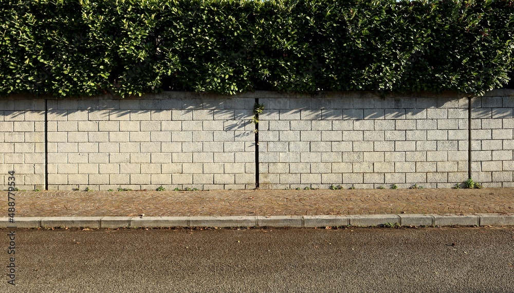 Enclosure wall made of concrete bricks with green hedge above. A ...