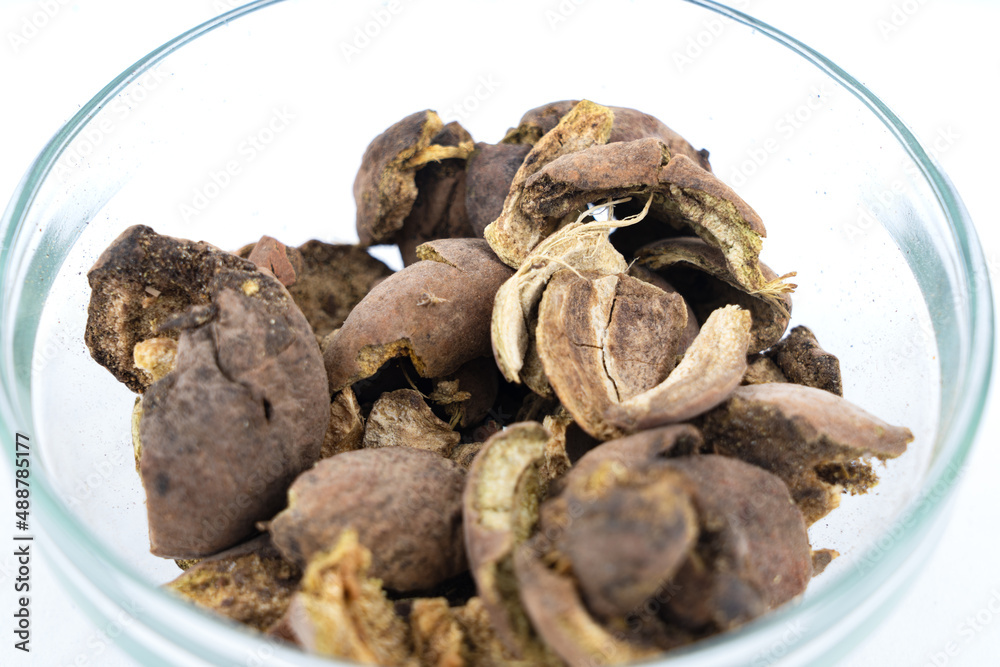 Baheda, Terminalia Belerica, bedda nuts over isolated white Stock Photo ...