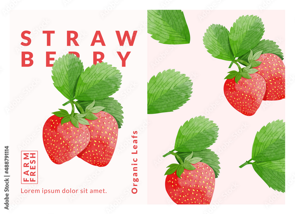Strawberry packaging design templates, watercolour style vector ...