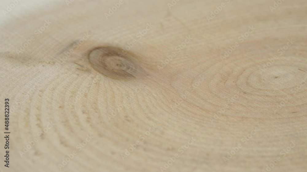 Old Ash tree rings texture close up. Selective focus. Wooden circle ...