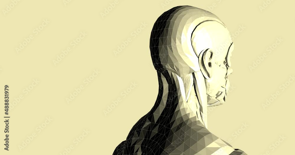 Human body 3D model in wireframe loop. Seamless anatomy of body with ...