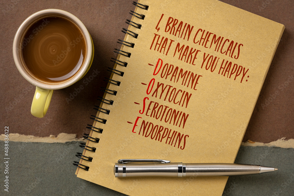 DOSE - dopamine, oxytocin, serotonin and endorphins, four brain ...