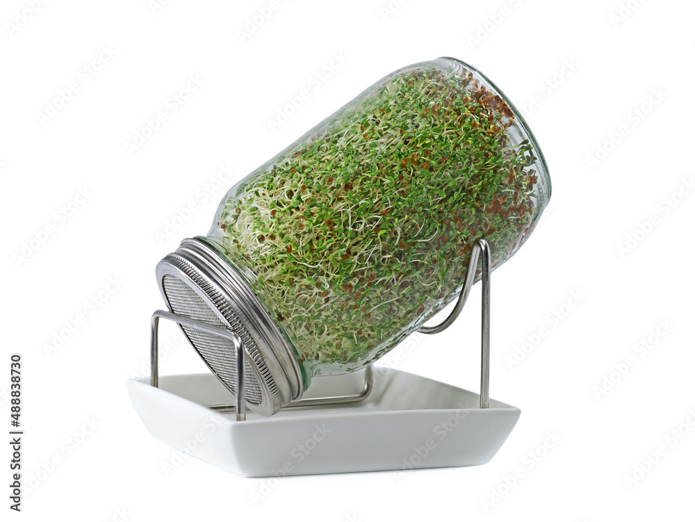 Alfalfa sprouts in a glass jar with stand and ceramic bowl isolated on ...