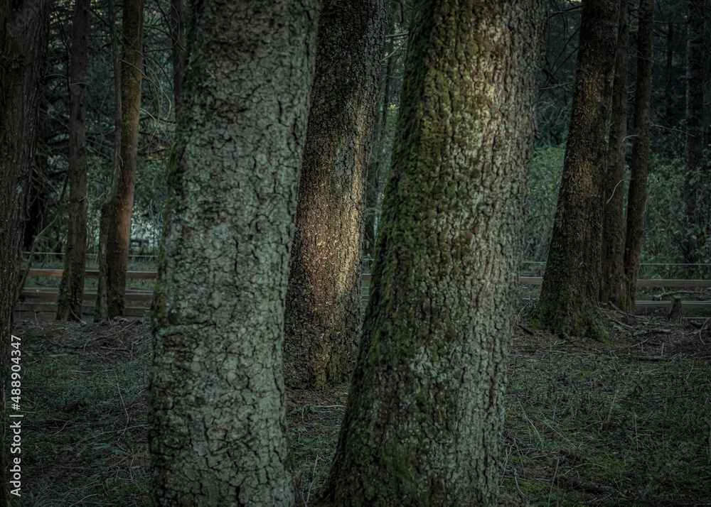 Nature Textures Stock Photo | Adobe Stock