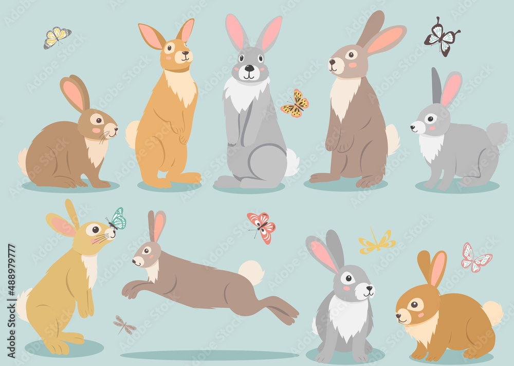 hare, rabbit set cartoon flat design, isolated vector Stock Vector ...