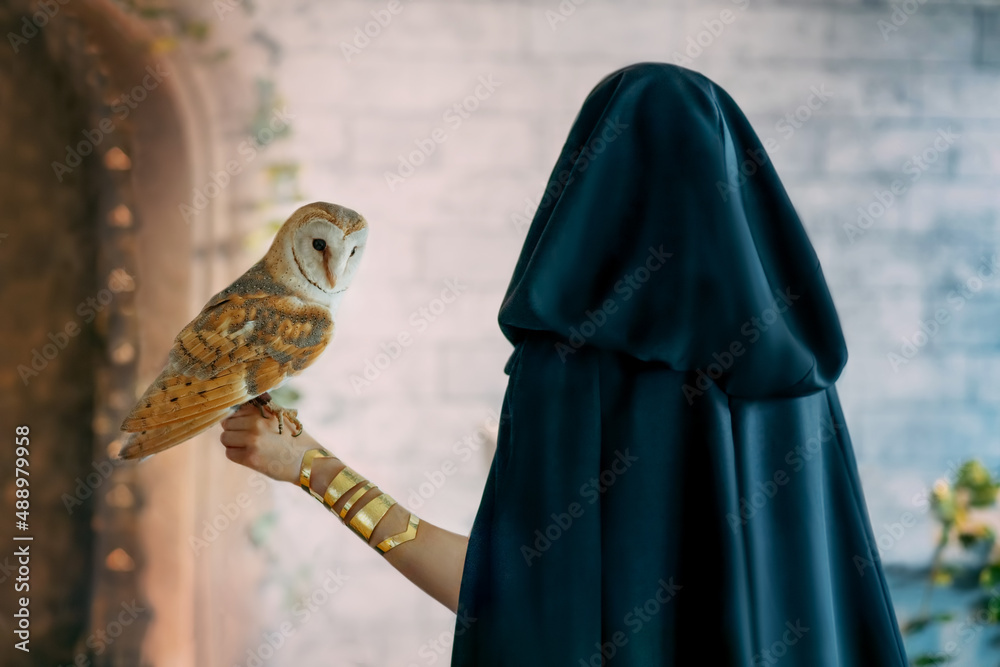 Pagan woman covered head black hood silk cape in gothic room, holds ...