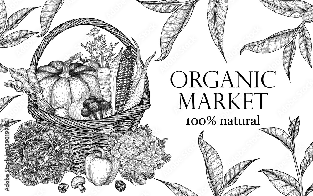 Vector banner template with a basket with a harvest of vegetables and ...