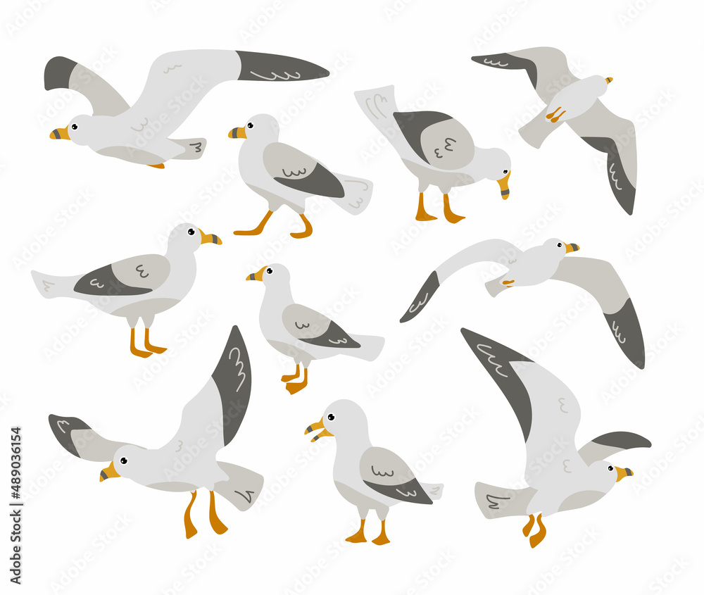 Seagull Cartoon Character Flat Vector Illustrations Set Cute Comic Gulls Atlantic Birds With