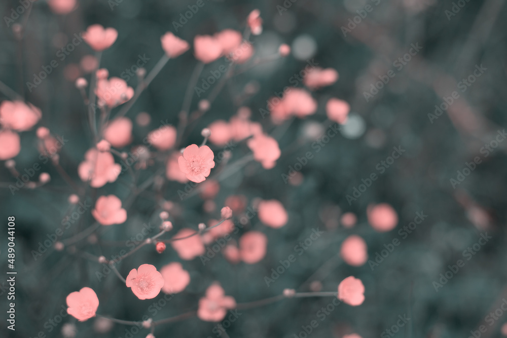 Abstract defocused background - pink flowers and bokeh. Stock Photo ...