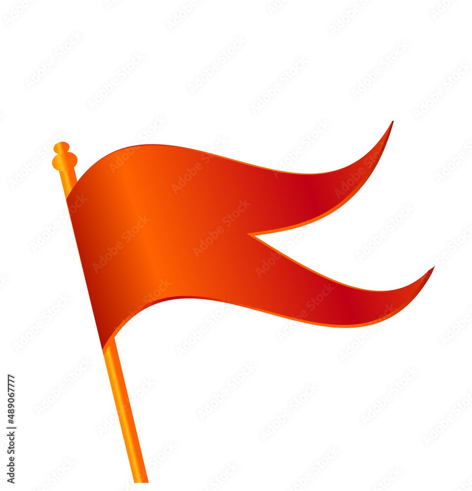 Flag Icon Vector