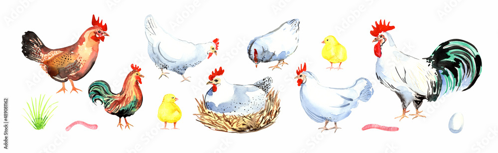 Happy chicken clipart. Farm Animals, Rooster, Hen, Bio Eggs, Coop ...