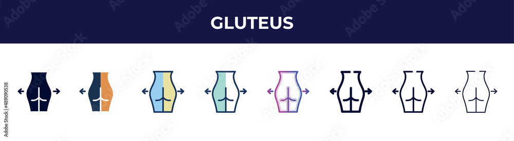 gluteus icon in 8 styles. line, filled, glyph, thin outline, colorful ...