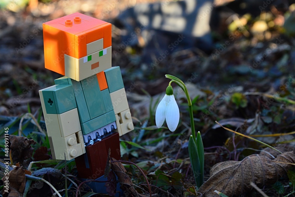 LEGO Minecraft large figure of Alex discovered single snowdrop flower ...