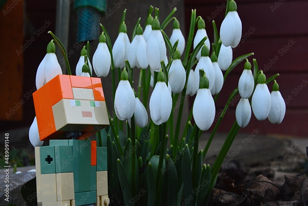 LEGO Minecraft figure of Alex is adoring large cluster of white ...