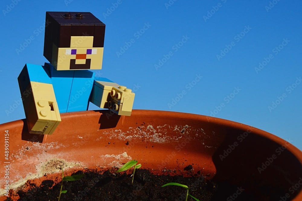 LEGO Minecraft large figure of Steve observing growing young bamboo ...