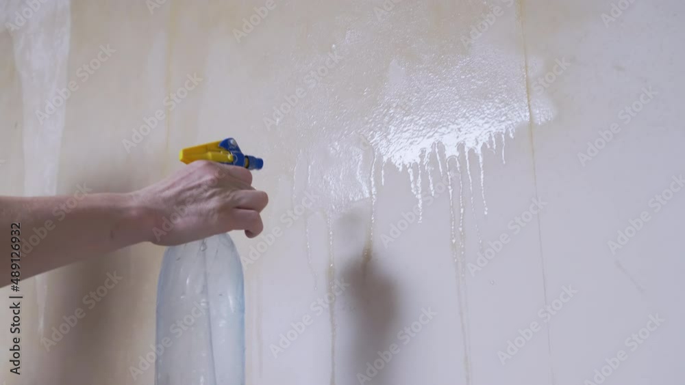 Stockvideon Male Hand Sprays Water from a Spray Bottle to Remove Old ...