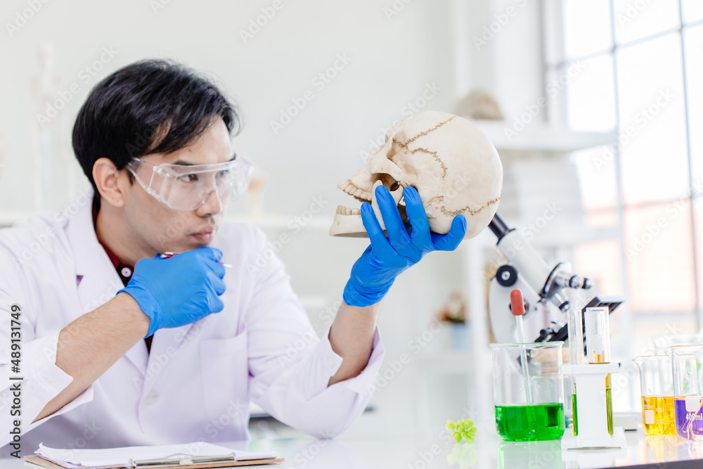 Scientist Physical anthropology in biological science lab studying ...
