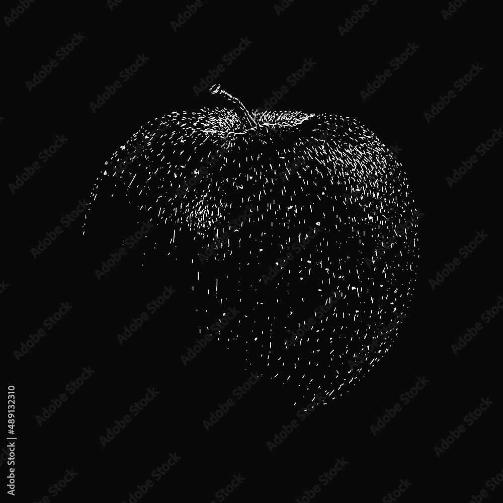 apple hand drawing vector illustration isolated on black background ...