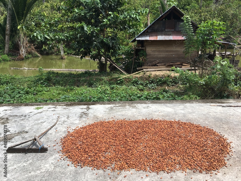 Foto de Views in detail of the megalith or Megalitik Palindo, Tadulako ...