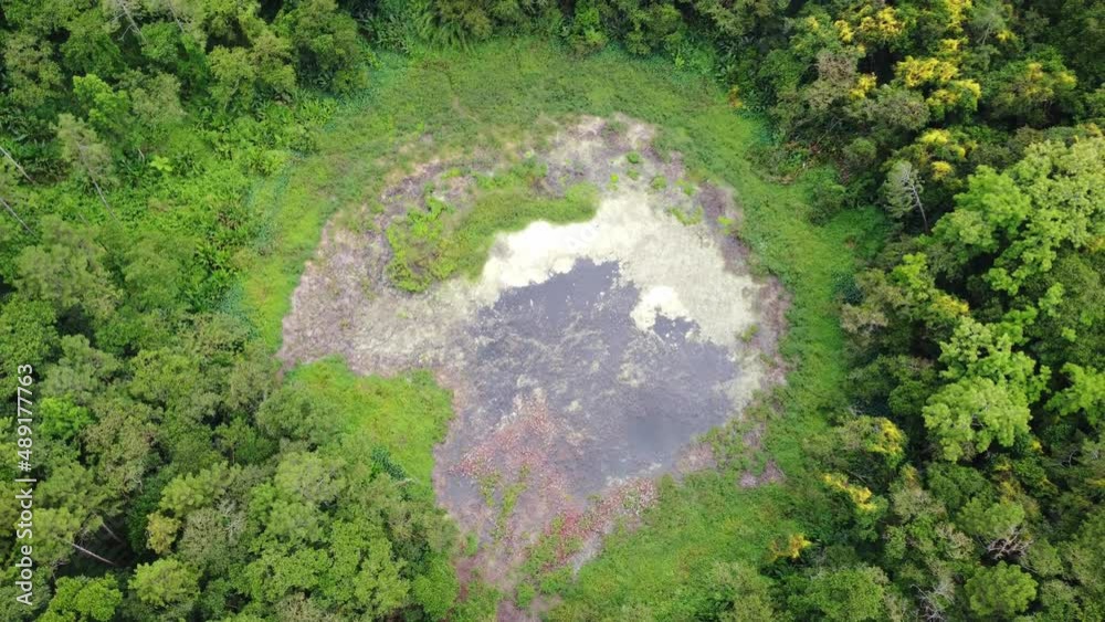 An extinct ancient volcano called Trou-aux-Cerfs surrounded by jungle ...