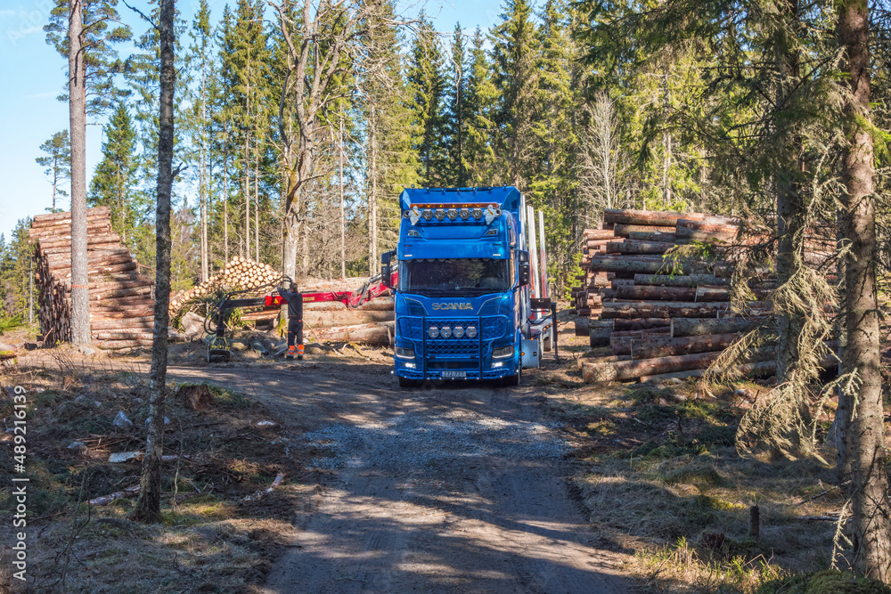 Timber truck by timber stacks in the forest Stock Photo | Adobe Stock