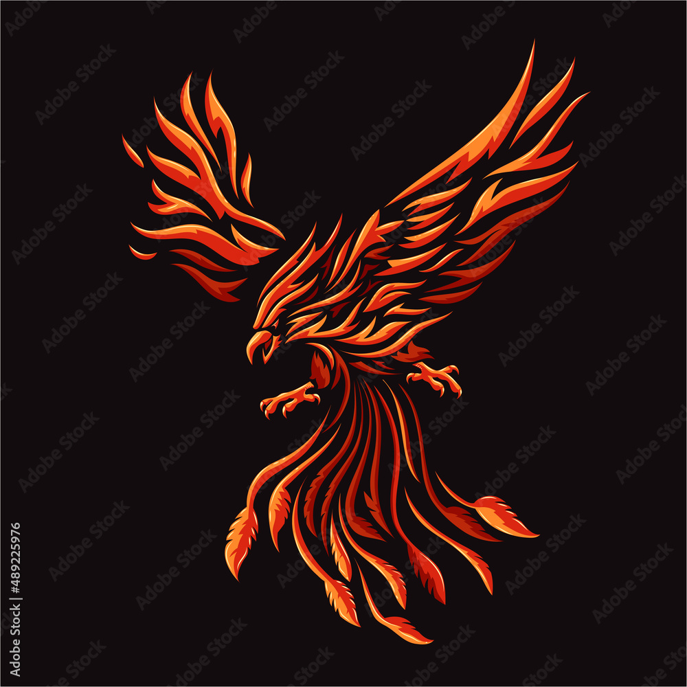 phoenix fire bird colorful vector illustration Stock Vector | Adobe Stock