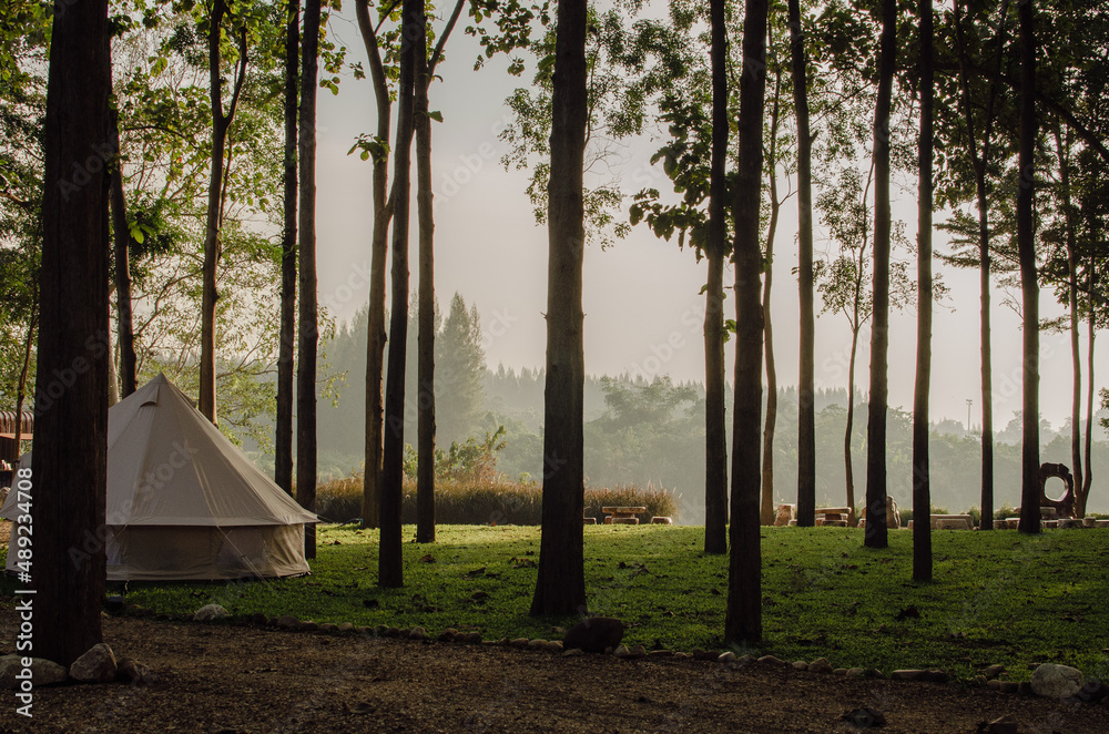 Tents Camping area, early morning landscape. Natural area with big ...