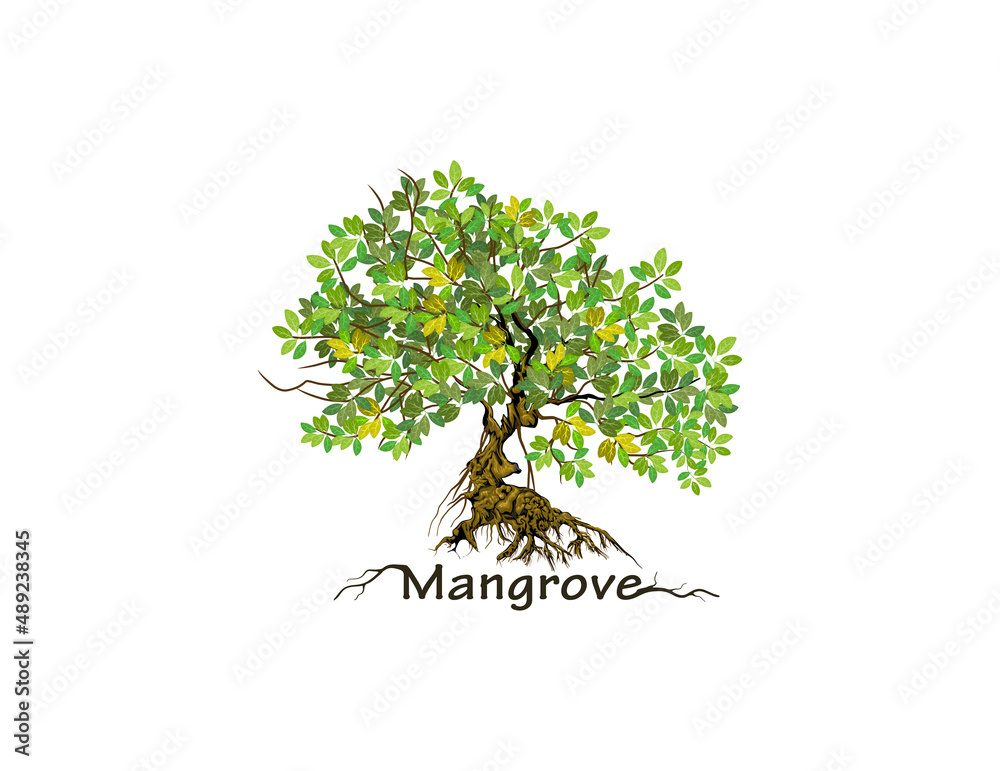 Mangrove tree vector illustrations, ready to print isolated on white ...