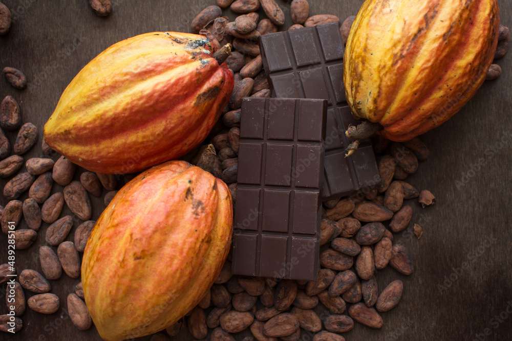 Cocoa maracas. Cocoa beans. Tropical fruit. Trinidad cocoa. Chocolate ...