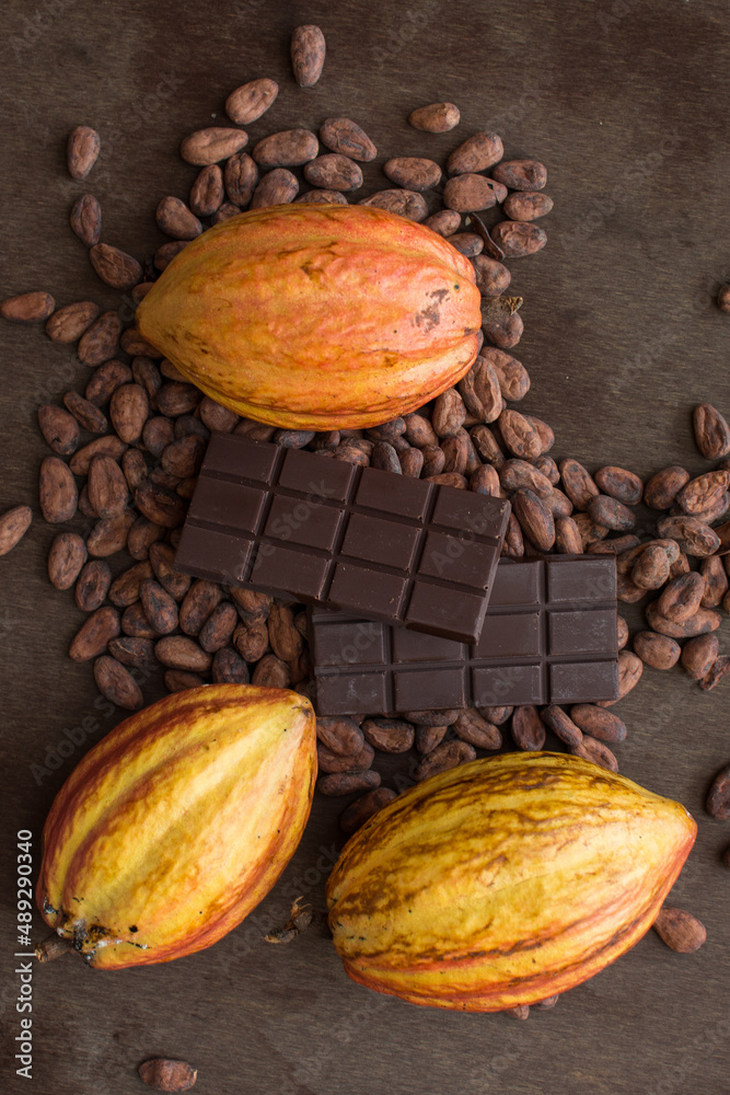Cocoa maracas. Cocoa beans. Tropical fruit. Trinidad cocoa. Chocolate ...