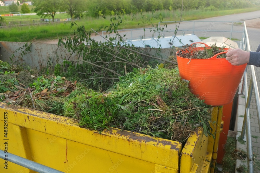 Green compost.Vegetable waste. bucket with vegetable compost in the ...