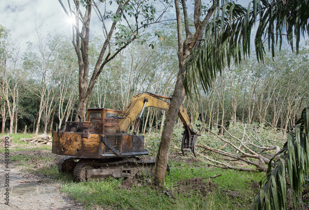 Grabber excavator hydraulic machine removing or push down para rubber ...