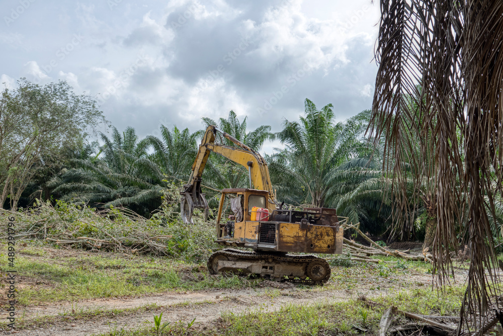 Grabber excavator hydraulic machine removing or push down para rubber ...