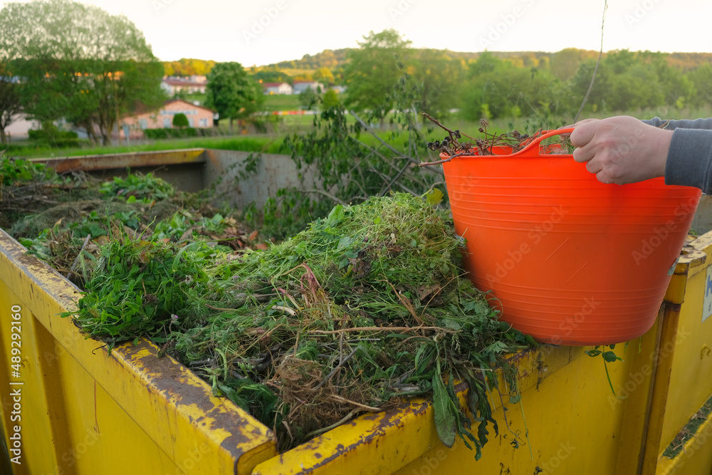 Green compost.Vegetable waste. bucket with compost in the hands of a ...